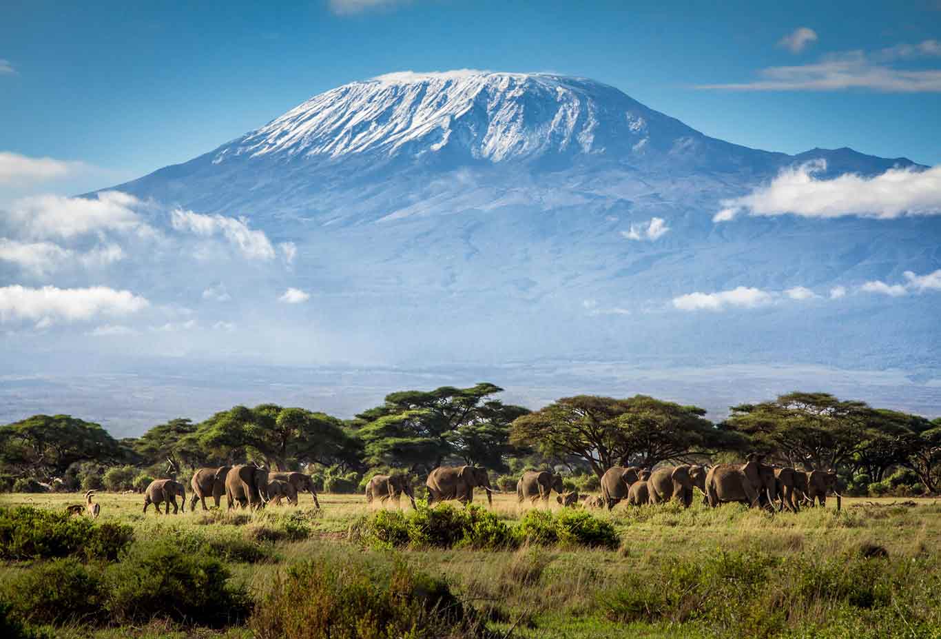 Mount Kilimanjaro National Park Www kiliclimboutfitters